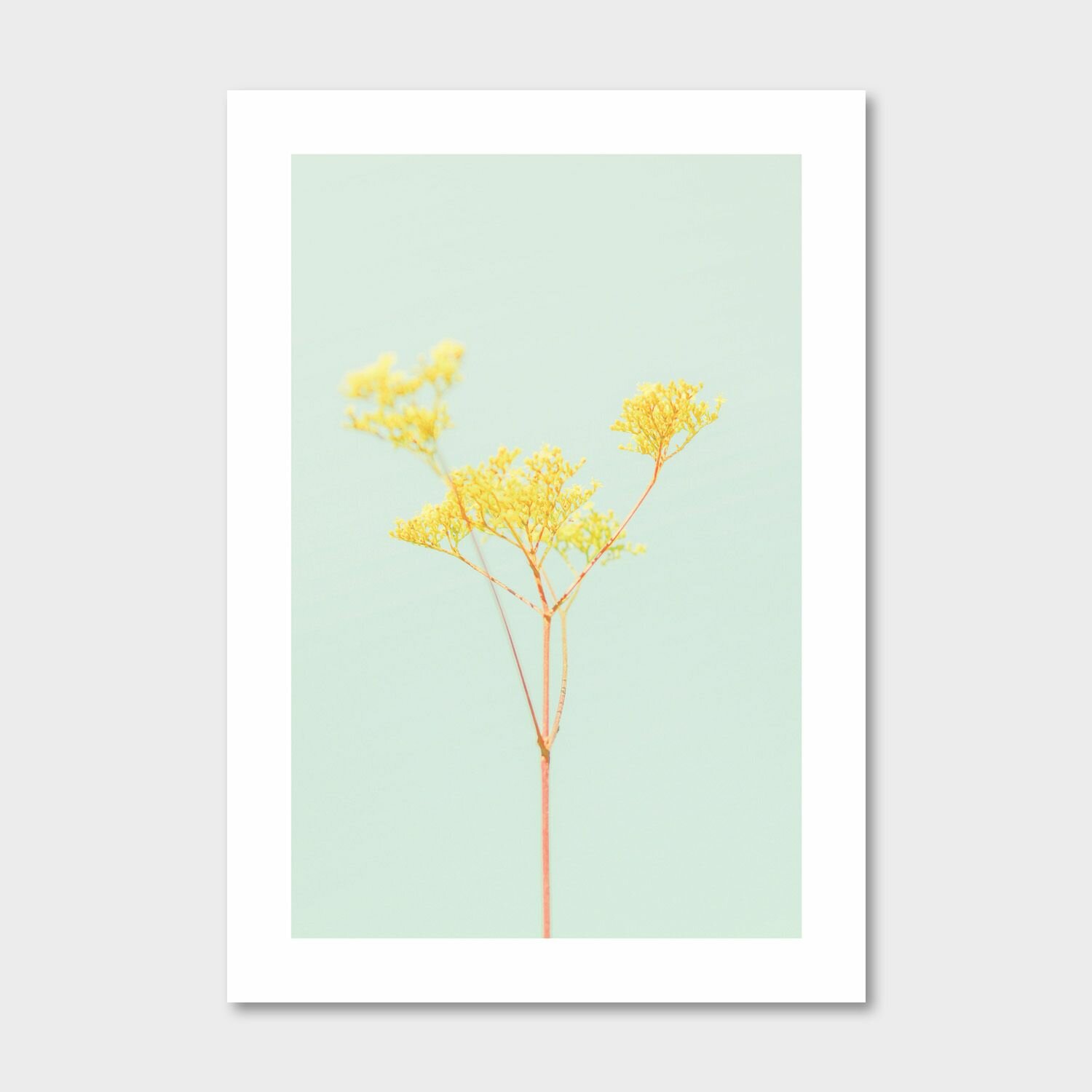Постер для интерьера Postermarkt, Желтые Цветы, 50х70 см