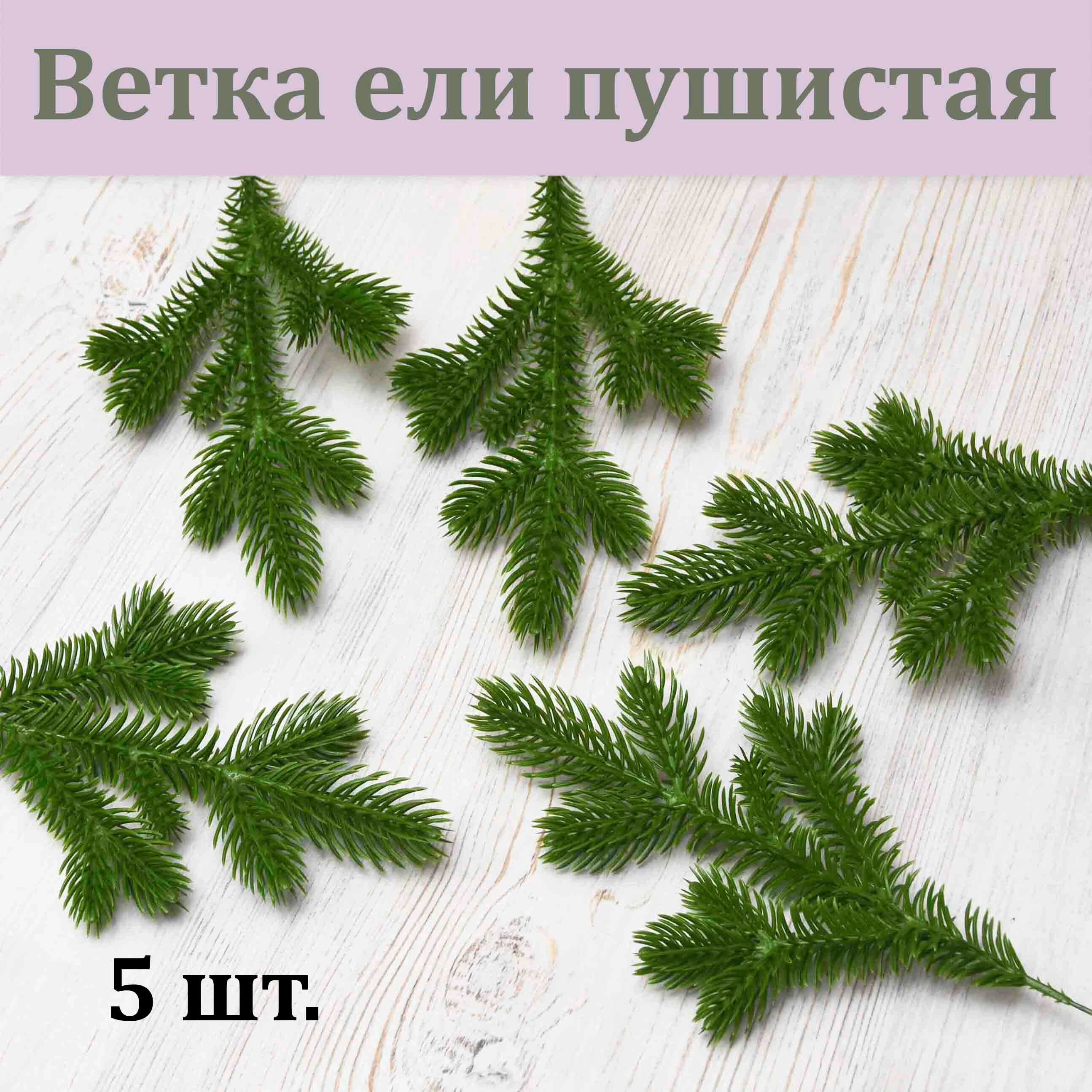 Лапка елочки пушистая (5 шт.) / Ветка елки декоративная / Ветка хвои / Еловая лапа