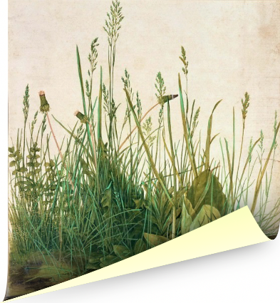 Картина для интерьера "Кусок дёрна (Большой куст)", художник Дюрер, Альбрехт, печать на холсте (60х77 см / без подрамника)