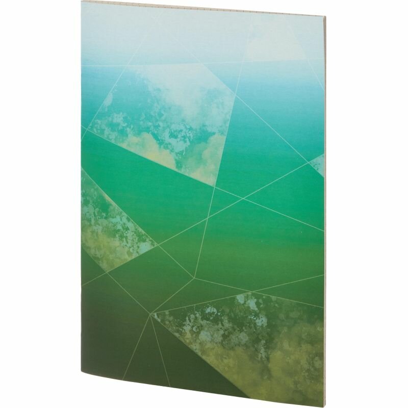 Тетрадь общая Выбор есть (Attache) Ice Синий/зеленый А4, 48 листов в клетку, на скрепке