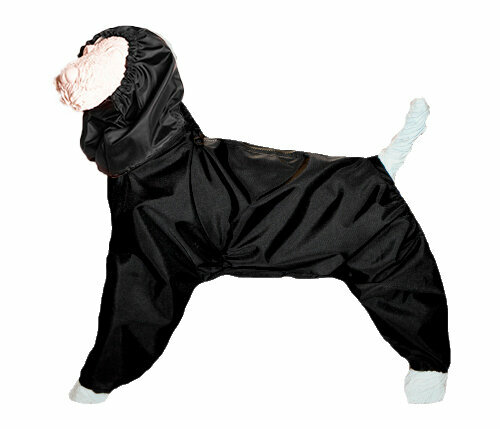 Комплект: Дождевик-комбинезон+Снуд (шапка) для американского кокер-спаниеля кобеля, повышенной прочности, цвет черный