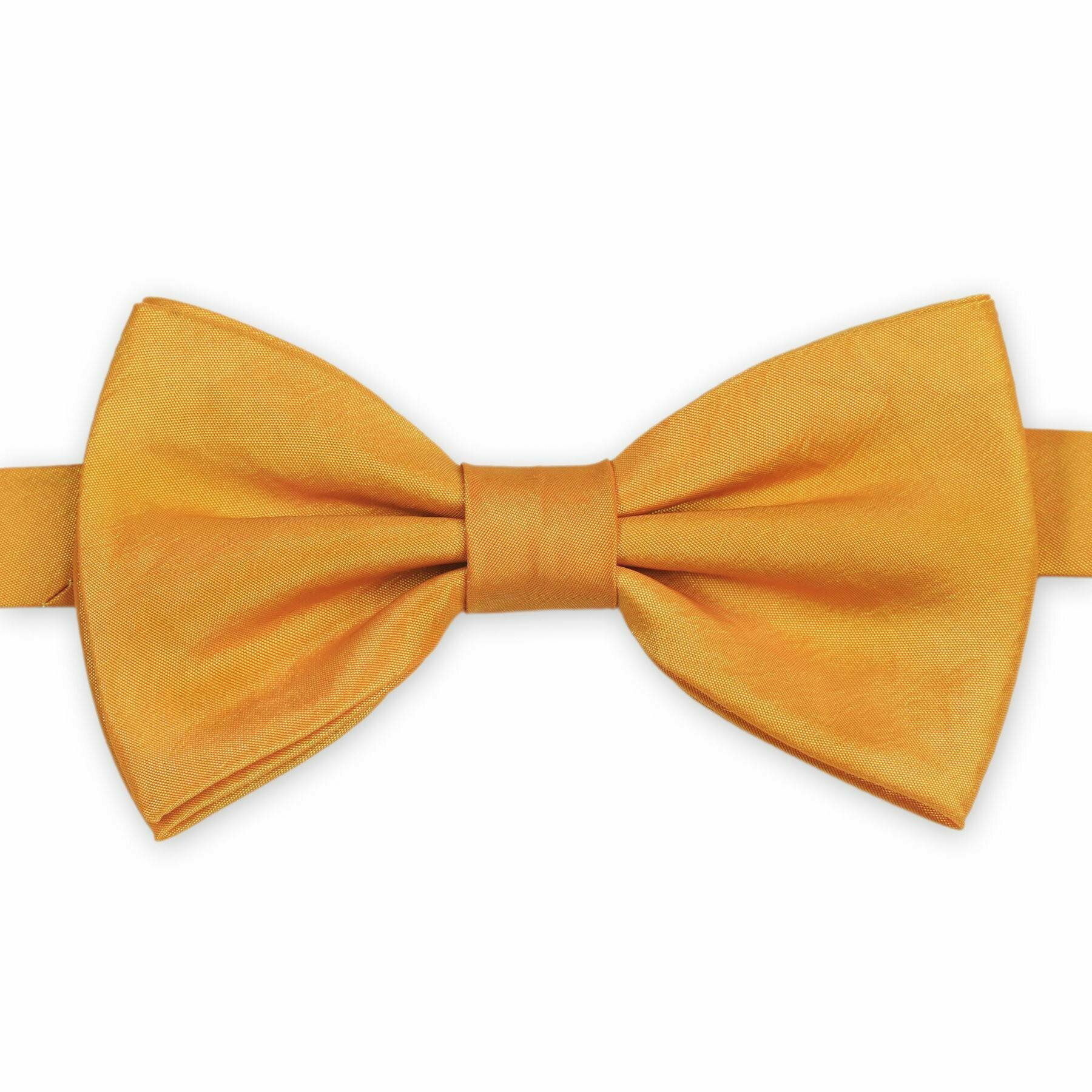 Бабочка WHY NOT BRAND