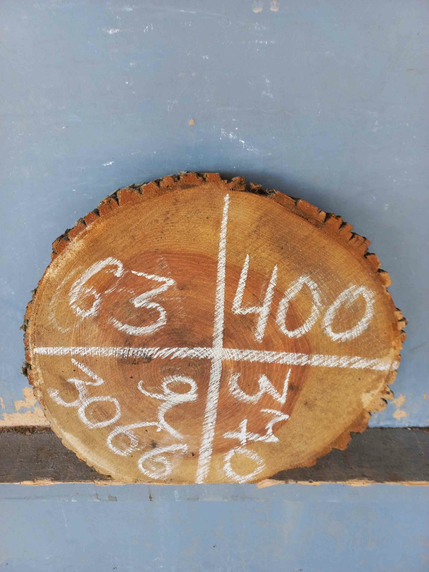 Спил торцевой ясеня доклес №3066, для столешниц и подоконников, влажность 10%, 6x40x37 см