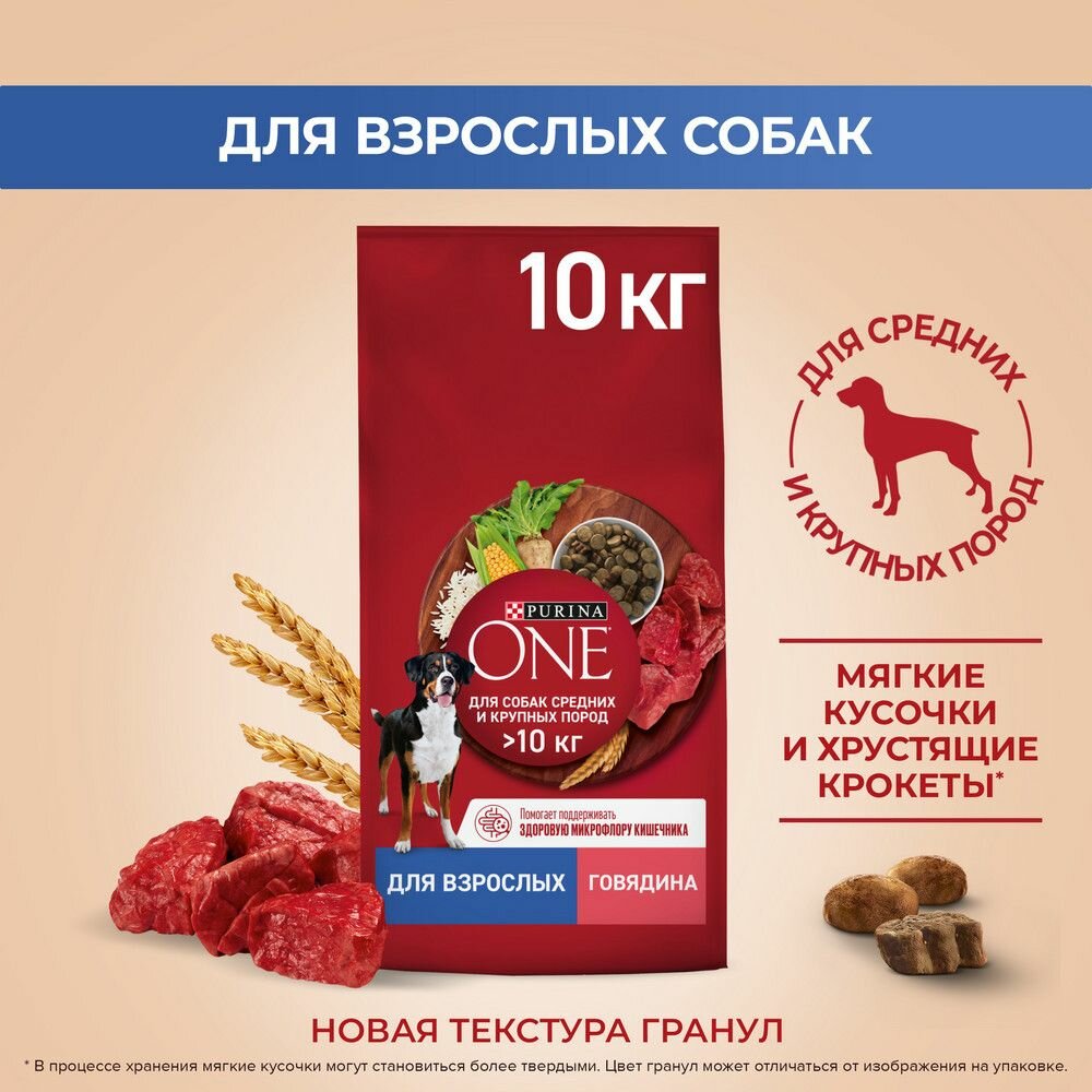 Сухой корм Purina ONE для взрослых собак средних и крупных пород, с высоким содержанием говядины и рисом, пакет,10 кг