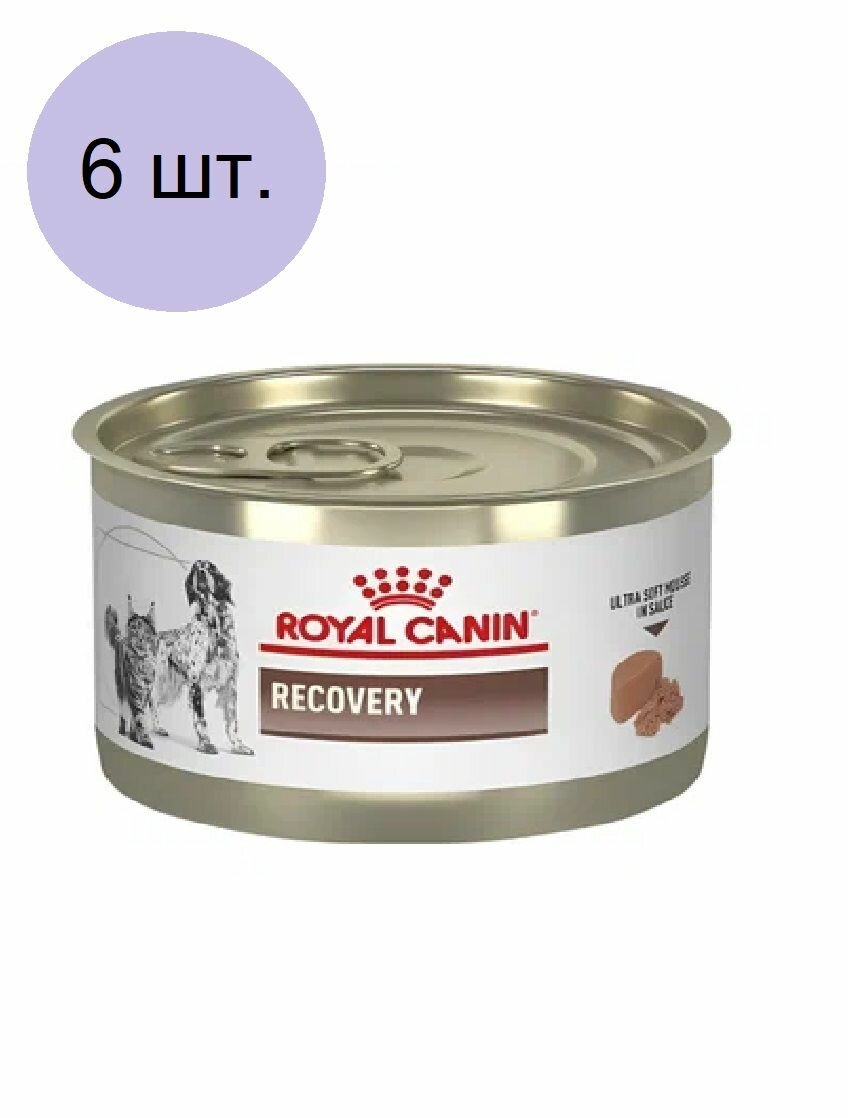 Лечебные консервы Royal Canin (Роял Канин) Recovery для кошек и собак в период восстановления после операции 6 шт. х 195 г