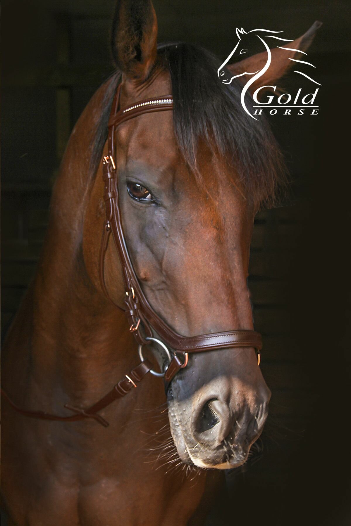 Уздечка для лошади