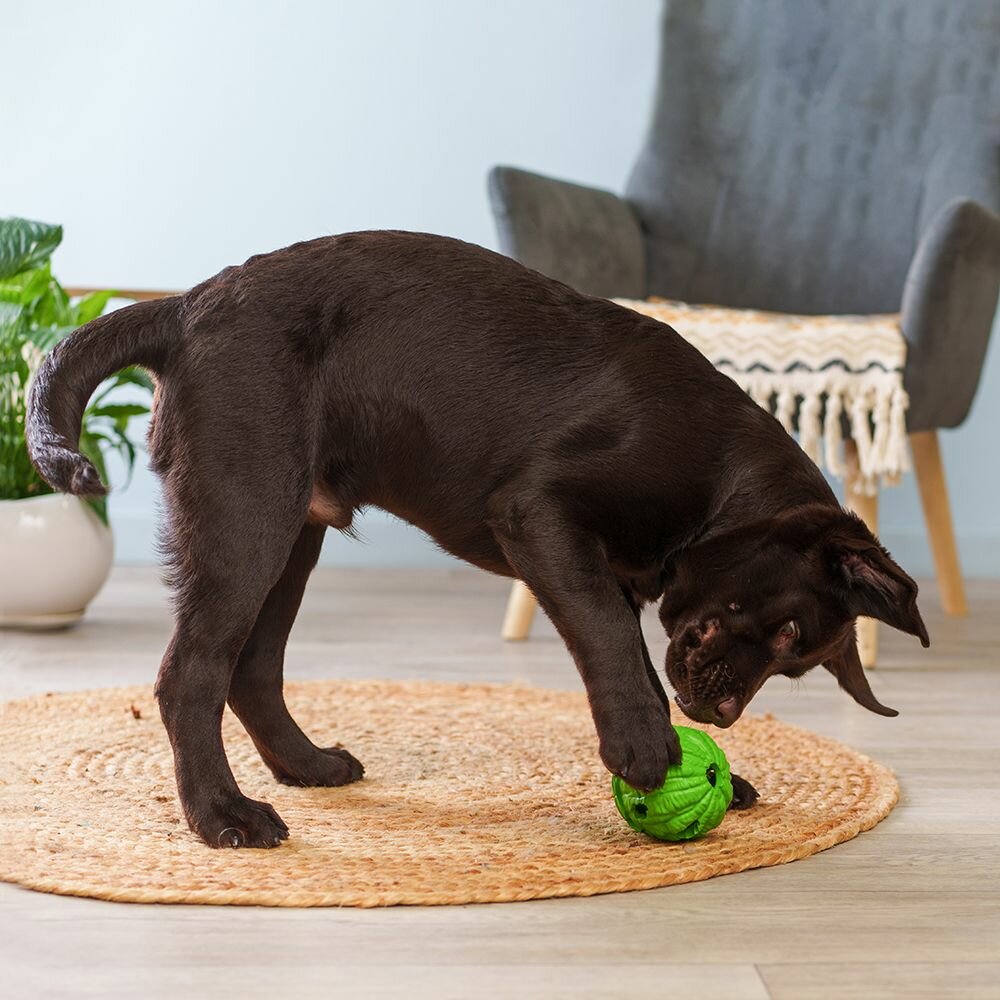 Игрушка для собак Ананас, 10,5х5,5 см