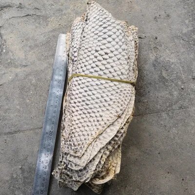 Натуральная кожа рыбачья, цвет 16, 25x10 см