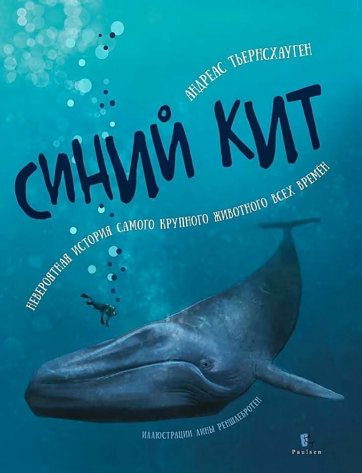Синий кит: невероятная история самого крупного животного