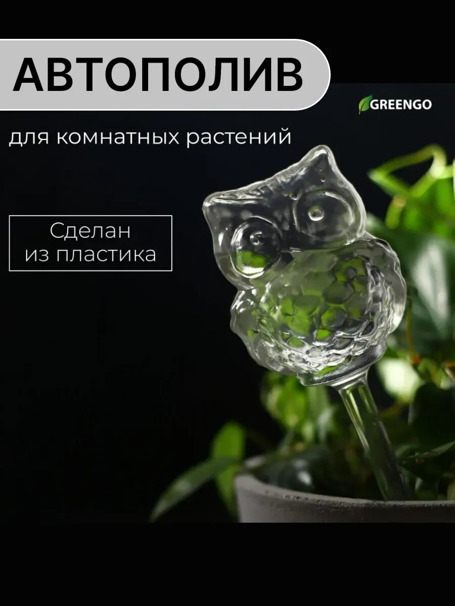 Автополив для комнатных растений