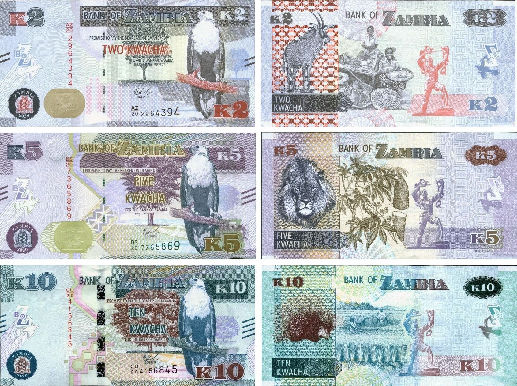 Замбия набор банкнот 2, 5, 10 квача 2020 г. Состояние пресс, unc