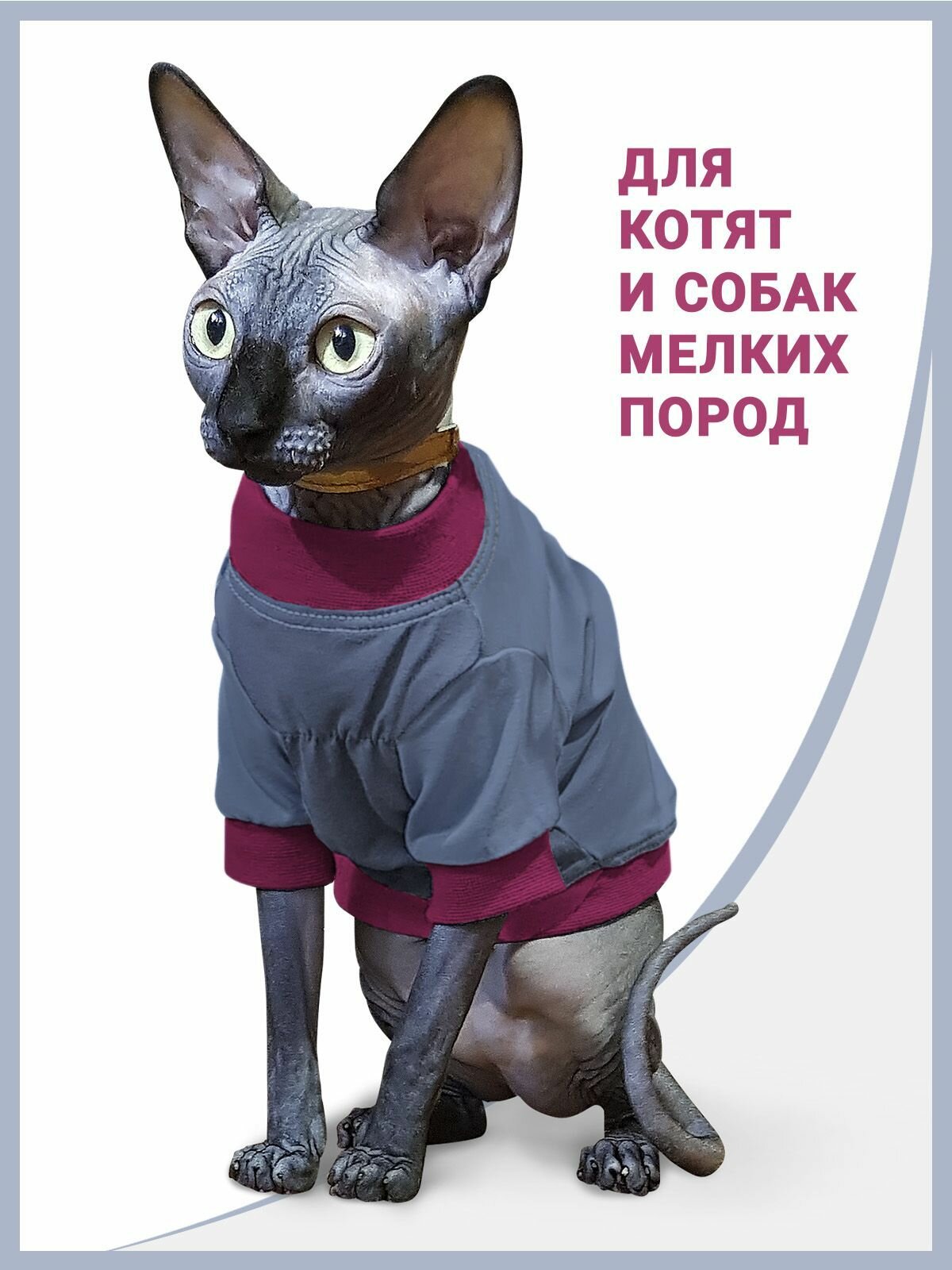 Футболка для кошек и котят Целовашка, одежда для собак мелких пород