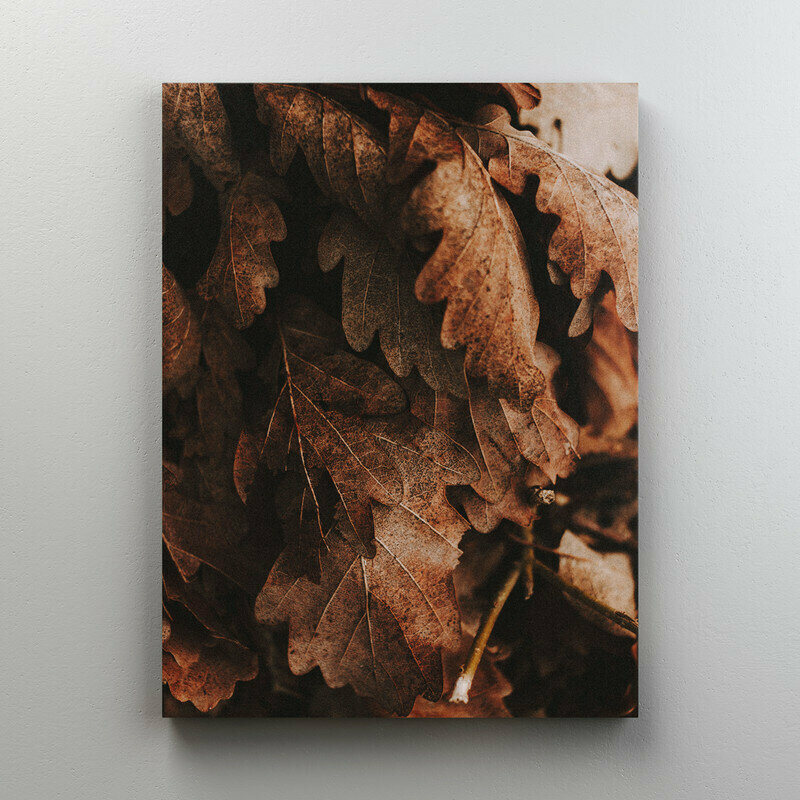 Интерьерная картина на холсте "Осенние дубовые листья" размер 45x60 см