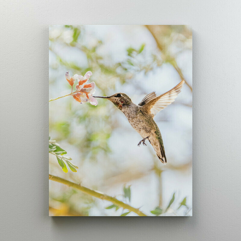 Интерьерная картина на холсте "Колибри и весенние цветы" размер 22x30 см
