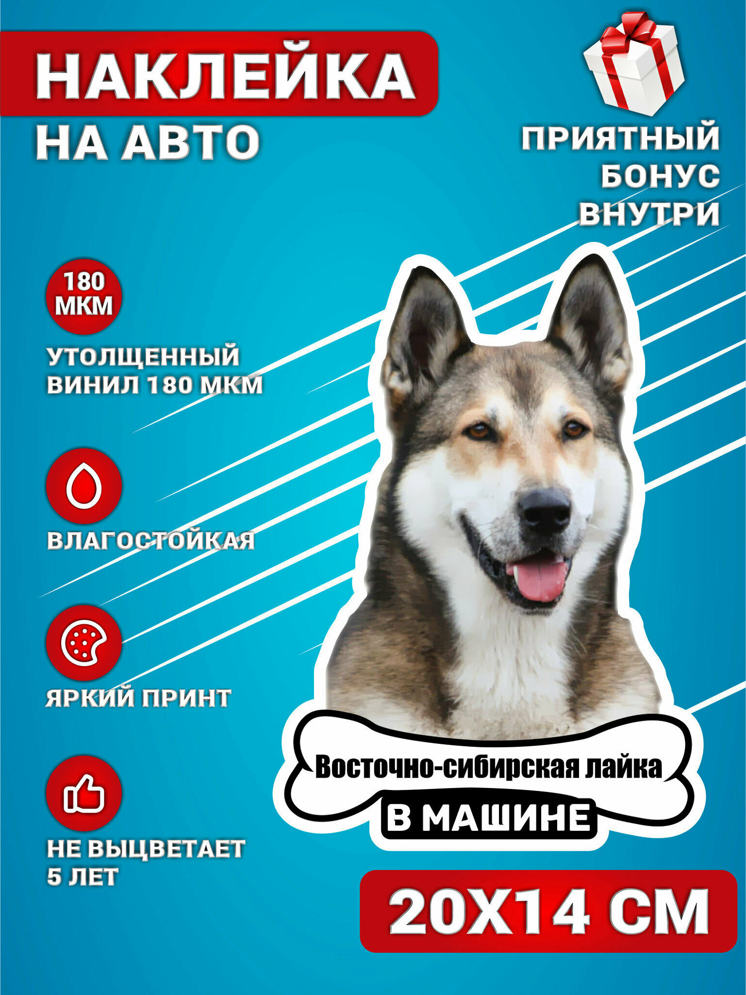 Наклейки на авто стикеры на стекло на кузов авто Восточно сибирская лайка собака в машине 20х14 см