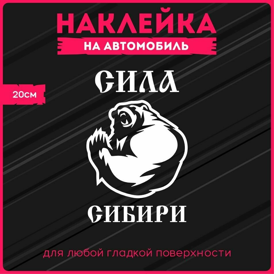 Наклейка на авто Сила Сибири 20х13 см