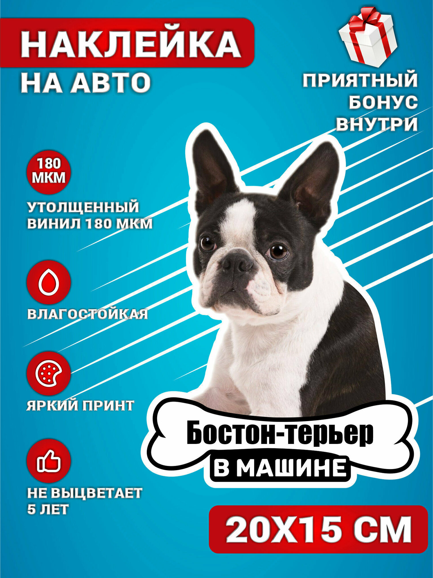 Наклейки на авто стикеры на стекло на кузов авто Бостон терьер собака в машине 20х15 см