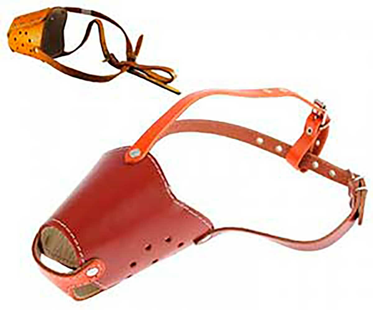 Намордник для овчарки brava глухой военный арт310