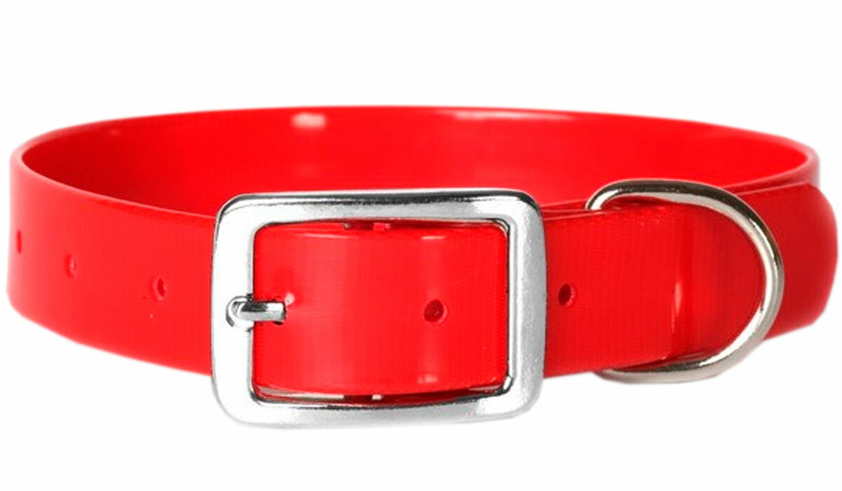 Ошейник для собак Каскад Biotan биотан красный 30 мм 46 – 56 см (1 шт)