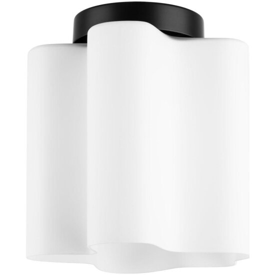 Потолочный светильник Lightstar Nubi 802017