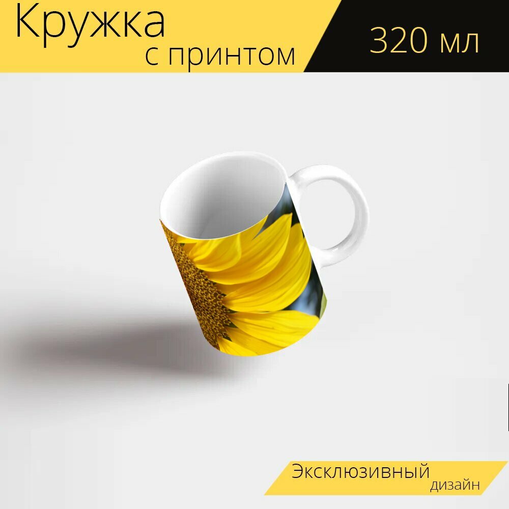 Кружка с рисунком, принтом "Подсолнечник, цветок, зерновой" 320 мл.
