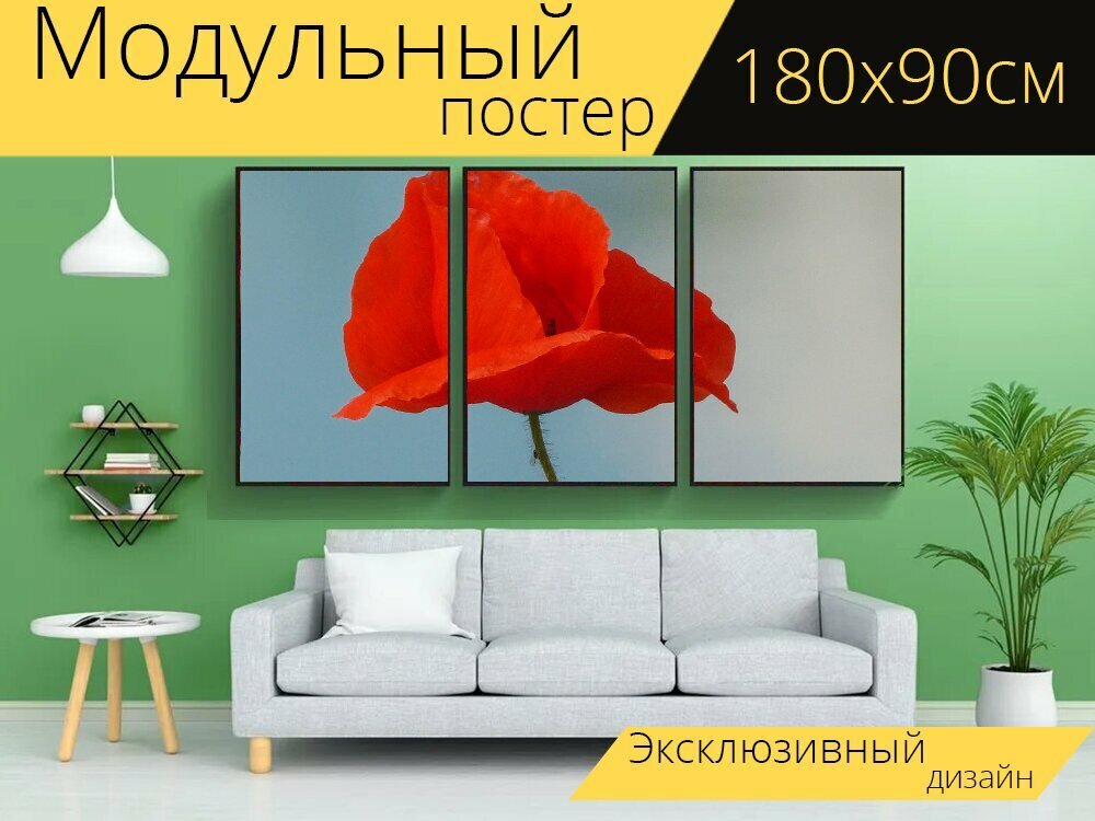 Модульный постер "Мак, красный мак, цветок мака" 180 x 90 см. для интерьера