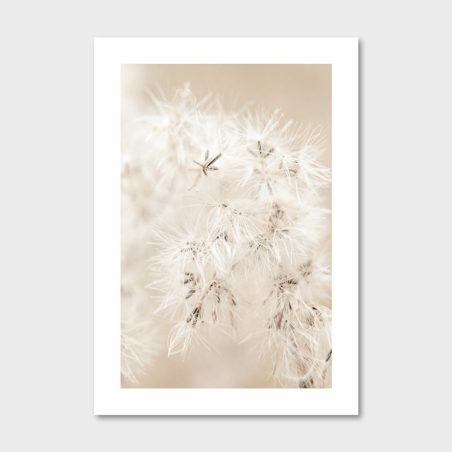 Постер для интерьера Postermarkt, Легкие Лепестки, 70х100 см