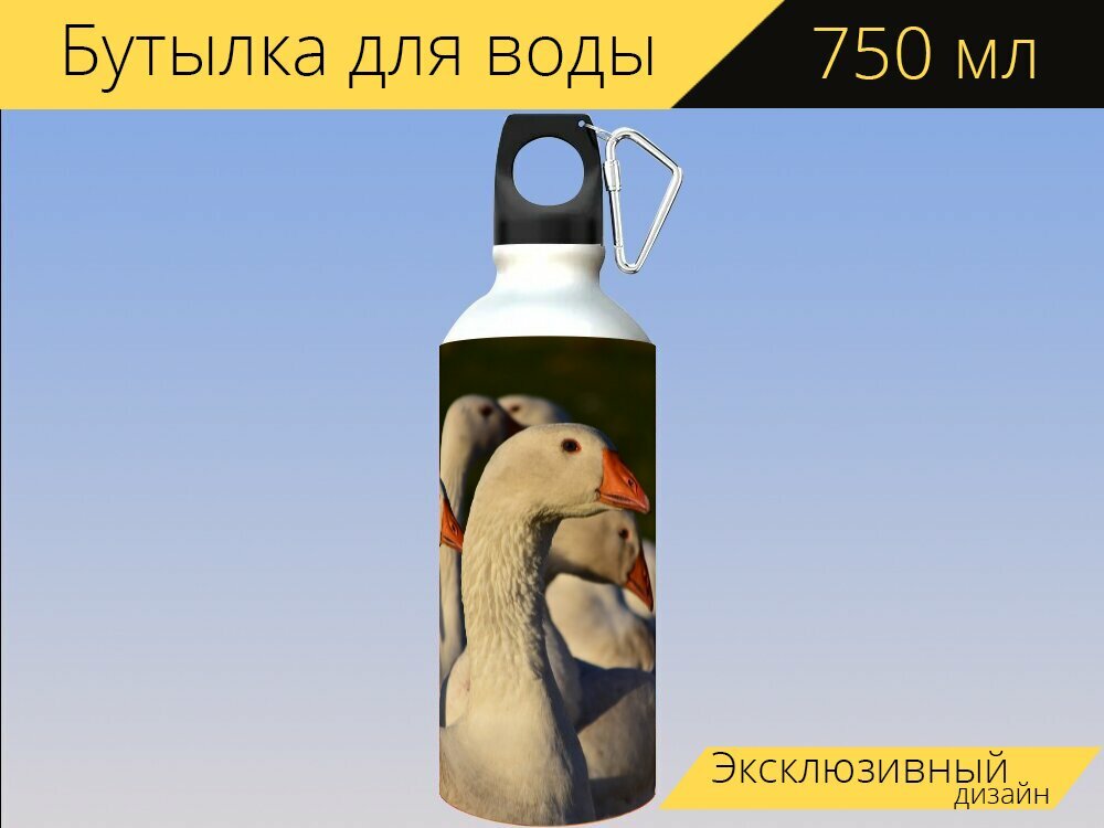 Бутылка фляга для воды "Гуси, гусиная стая, домашние гуси" 750 мл. с карабином и принтом