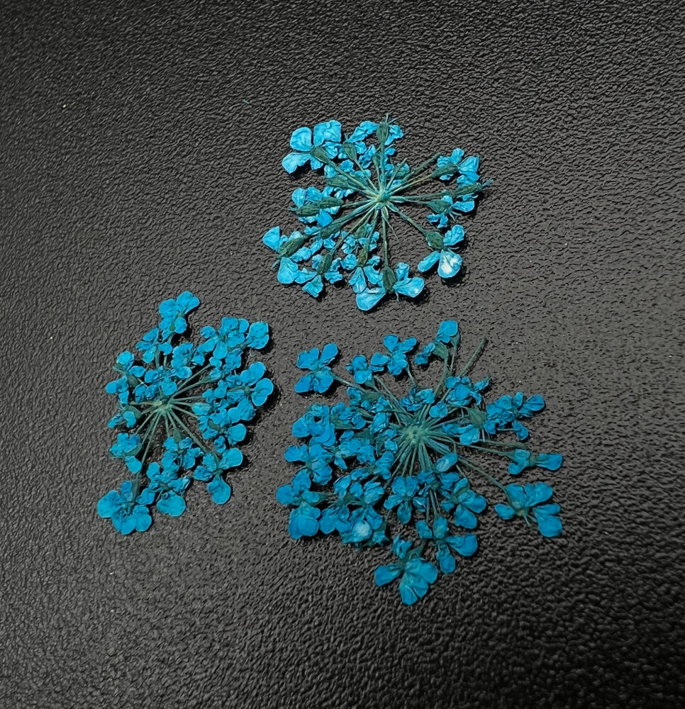 Сухоцветы Любимые цветочки Zoo Nail Art 1678