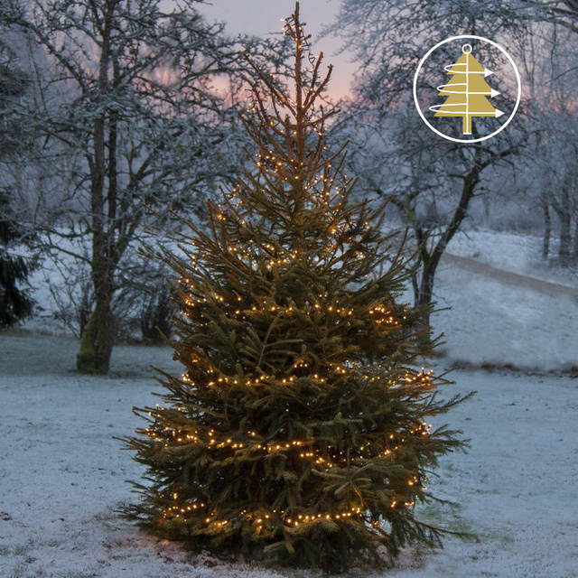 Ярусная гирлянда на елку 210 см Easy Light - Lumineo Snake, 700 экстра теплых белых LED, зеленый ПВХ, диммер, IP44, Kaemingk, 495407