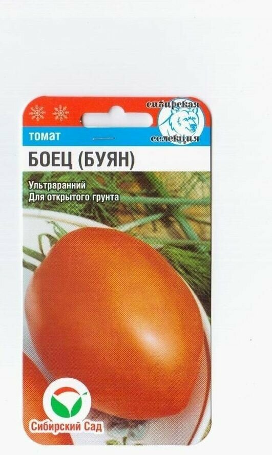 Томат Боец(Буян) (1 упаковка-20шт семян)