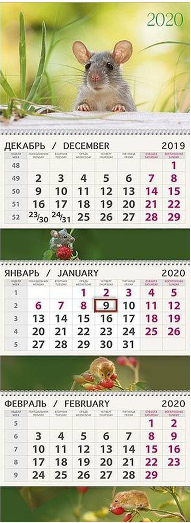 Календарь "Мышка", отрывной, на пружине, 2020 г, 295x210 мм, зеленый