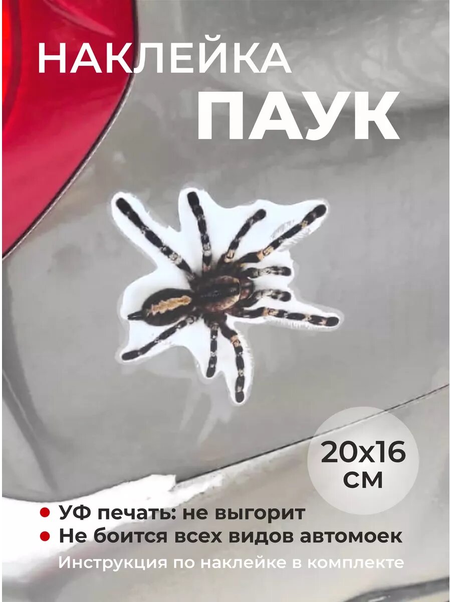 Паук - наклейка на авто