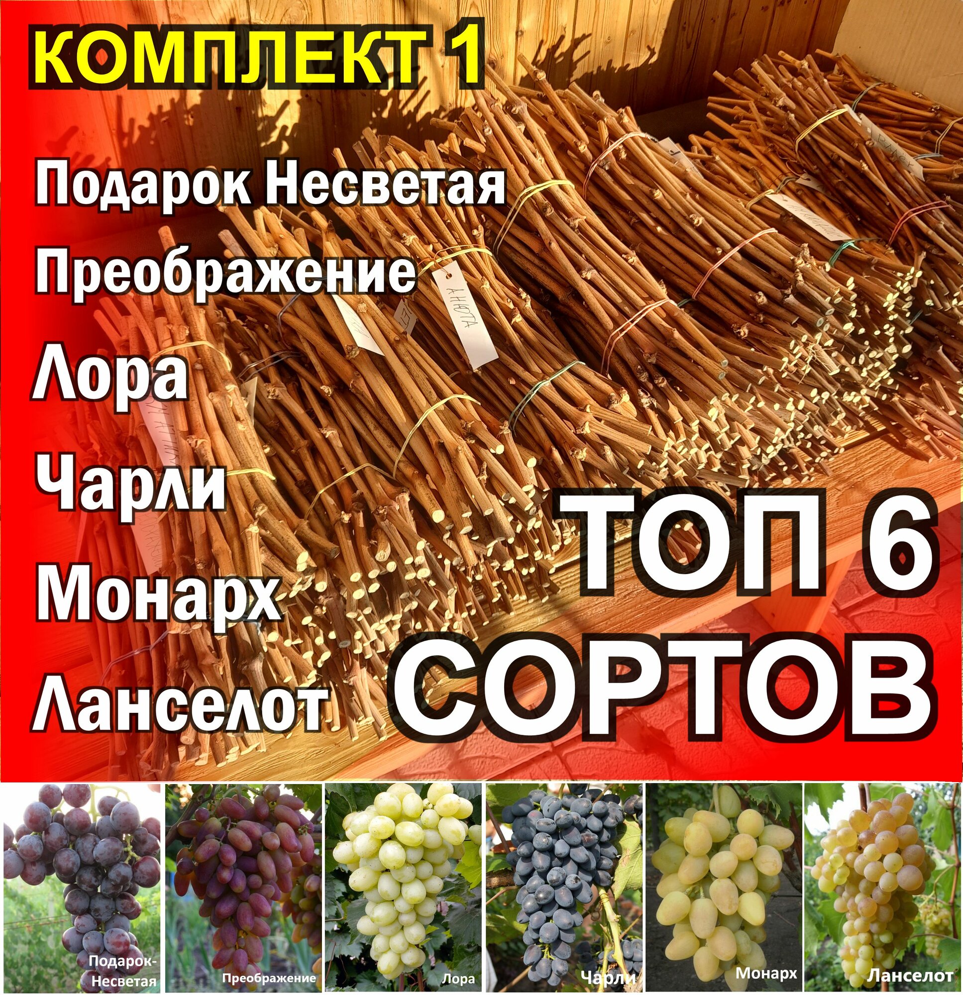 Черенки винограда, Набор для укоренения 6шт, Топ 6 сортов винограда, Комплект №1