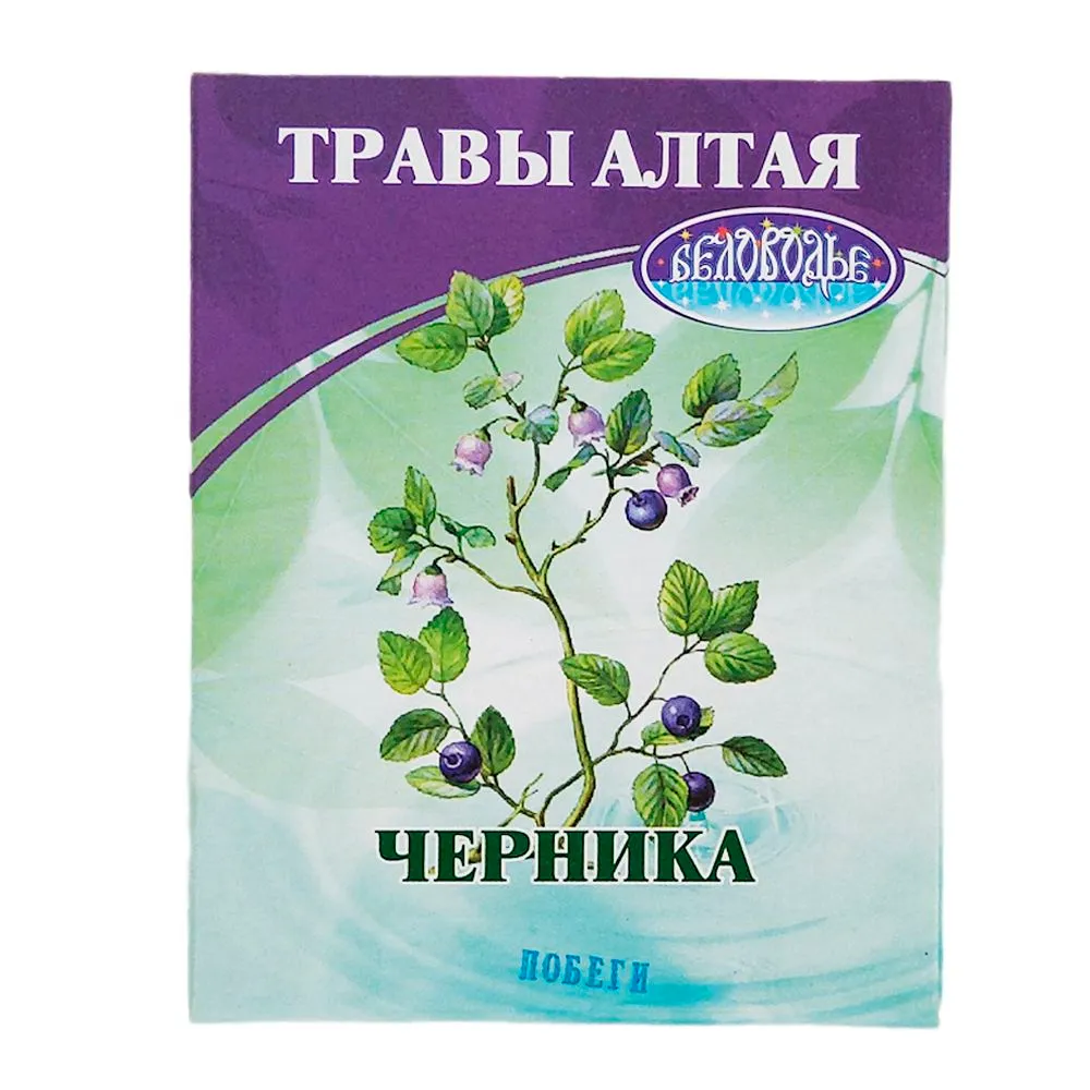 Черника, побеги, (Беловодье)