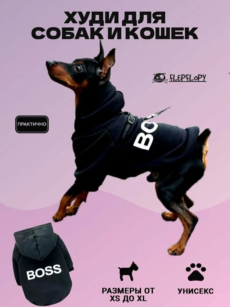 Одежда для животных