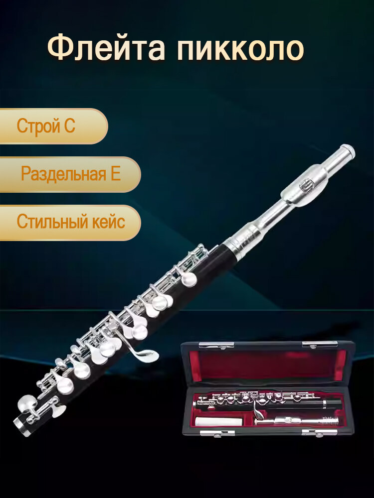 Флейта пикколо из эбонита с серебряным покрытием и овальным кейсом из искусственной кожи