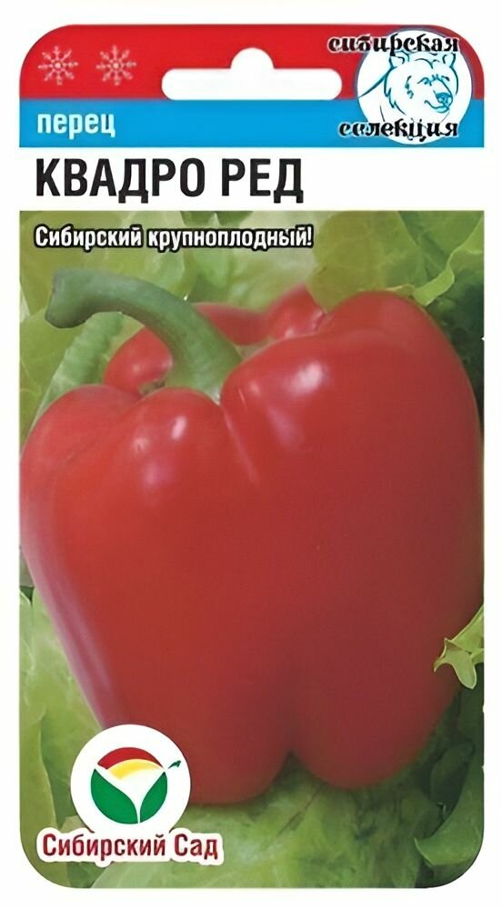Перец сладкий Квадро ред 15 семян, Сибирский сад