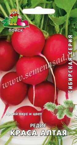 Редис Краса Алтая 3гр. сиб. серия (Поиск)