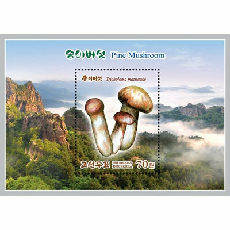 Почтовые марки Северная Корея 2017г. "Сосновый гриб" Грибы MNH