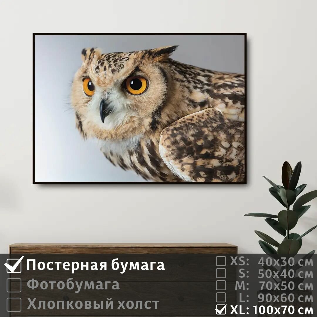 Постер на стену Сова Следит Глазами 100х70 см ПолиЦентр