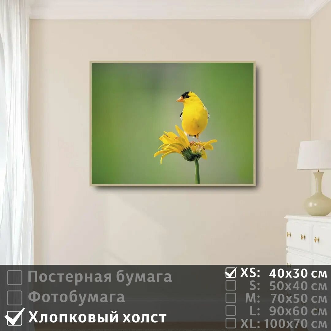 Постер на холсте Птичка Желтая Сидит На Цветке 40х30 см ПолиЦентр