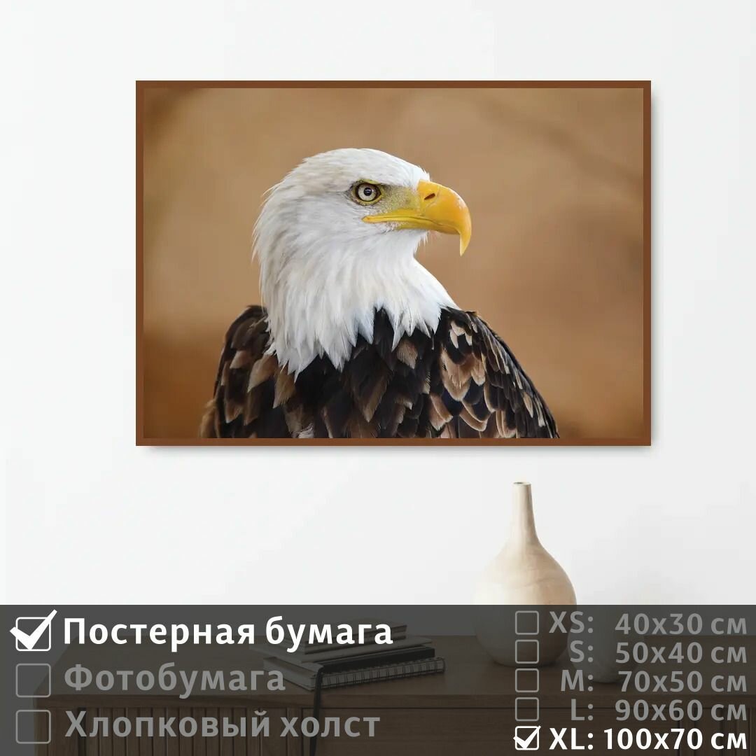 Постер на стену Белоголовый Орел 100х70 см ПолиЦентр