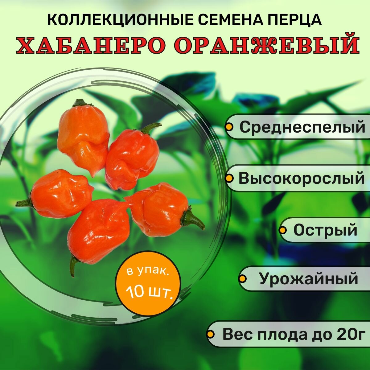 Коллекционные семена перца острого Хабанеро оранжевый