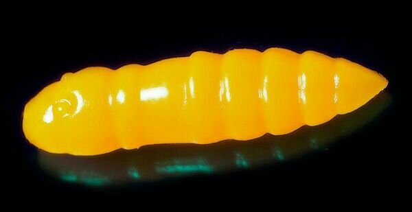 Мягкие приманки Jara Baits Trout Series MOLI MILD-25 Сыр # 707 (15шт), в банке