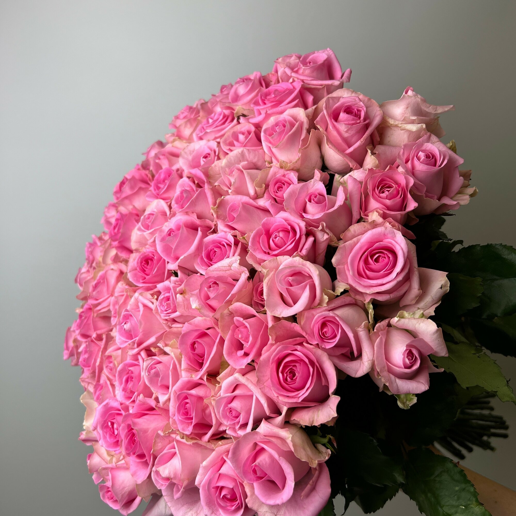 Живые цветы букет розовых роз 61 шт. 50 см. "Нежность ревиваля", сорт - Ревиваль