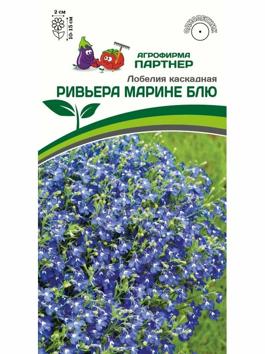 Лобелия каскадная