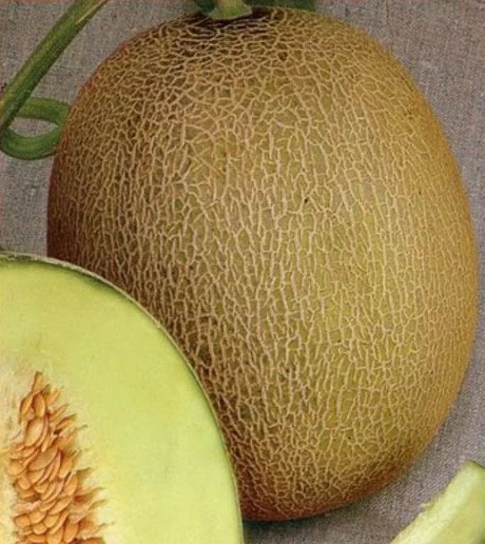 Коллекционные семена дыни Паспорт F1