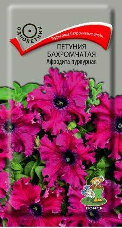 Петуния Афродита пурпурная бахромч. 10шт. (Поиск)