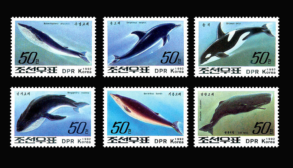 Почтовые марки Северная Корея 1992г. "Киты" Рыбы MNH